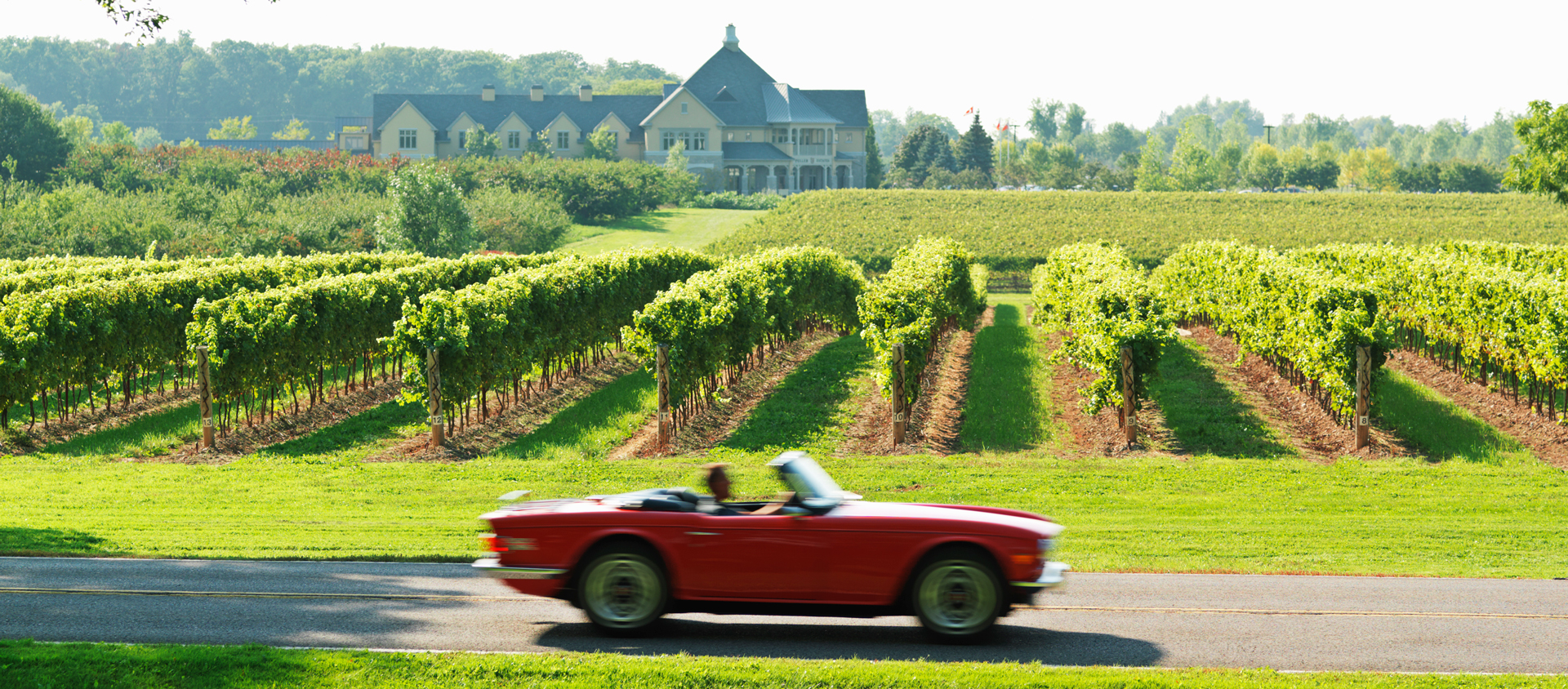 Uncork Niagara