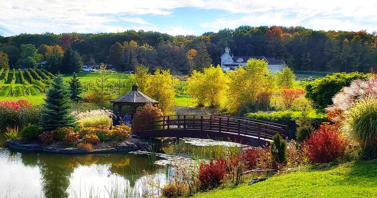 Breathtaking Sunday Drives