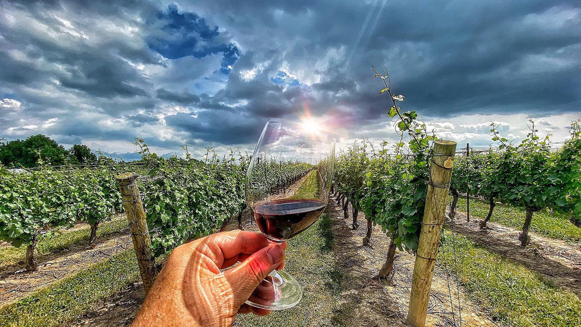 Fall Harvest Season in Niagara